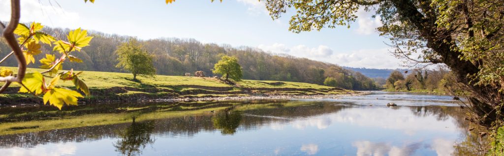 Mitton Grange - New Build Homes For Sale in Whalley - Prospect Home